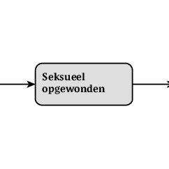 Figuur 4 Functionele Analyse Van Een Verkrachter Download Scientific Diagram