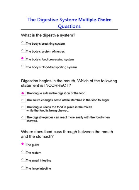 Digestive System Multiple Choice Questions At Andrew Leichhardt Blog