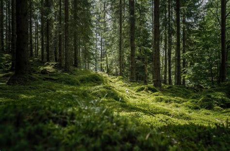 Suresh Babu Vuyyuru On Linkedin Extending Life Of Obsolete Control Systems Ula Mp Initgroup