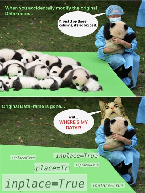 Wait Wheres My Data 😱 How Often Do You Forget To Create A Copy Of