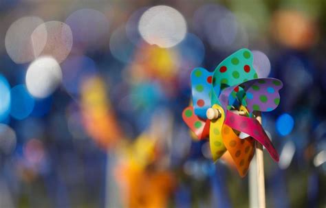 Chronicle Responds To Dalton Sex Ed Controversy R Houston