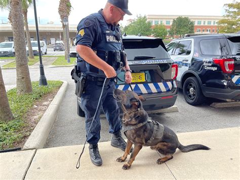 How Old Are Police Dogs When They Retire
