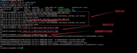 三、redis集群添加节点 反骨少年 博客园 三、redis集群添加节点 反骨少年 博客园
