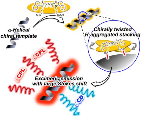 Chiral H‐aggregation‐induced Large Stokes Shift With Cpl Generation Assisted By α‐helical Polyl