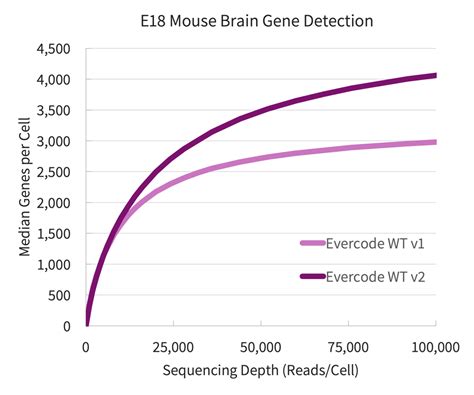 Evercode Whole Transcriptome V2 Dataset For Mouse Brain Nuclei