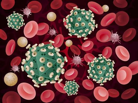 Hiv And Aids Symptoms Treatment Testing Std Hiv Aids