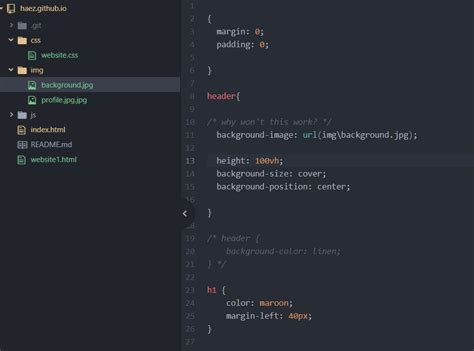 Html Css Img Not Displaying Despite Being Located In The Right Place