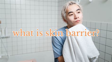 What Is Skin Barrier We Explain Here So Youll Have The Best Skin