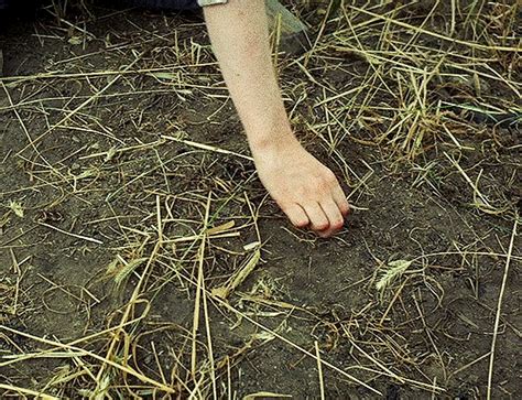 Everywhere A Relationship Utvandrarna 1971 Dir Jan Troell