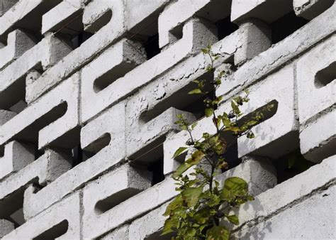 Fhhh Friends Creates Concrete Tea Fermentation Facility In South Korea