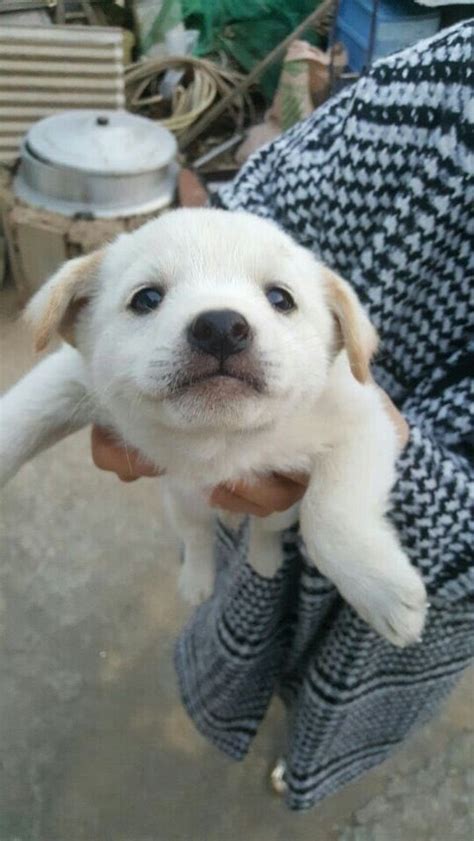 B On Twitter Rt Twperritos