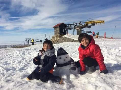 Quiz Sobre Daniel Sysak Daniel Sysak Da Silva De Campos Quizur