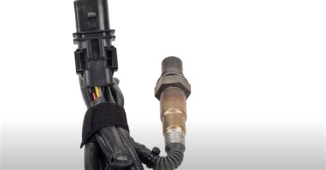 Walker Vs Bosch Oxygen Sensor Which Is Better Carprofy