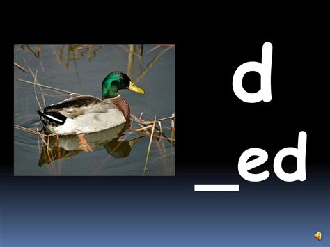Ppt Soundspelling Cards Presentation Based On Houghton Mifflin With