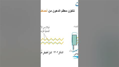 تركيب جزيء الدهن Youtube