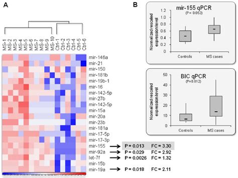Immune Related Mirna Expression Pattern In Ms Patients And Healthy