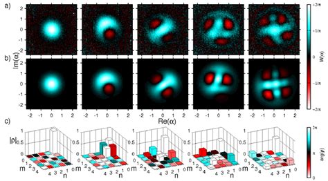 Superposition Of Fock Type States A Wigner Tomography Of Genetically
