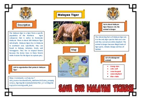 Malayan Tiger Facts About Malayan Tigerreason Why The Animal Is