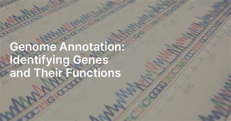 Genome Annotation Identifying Genes And Their Functions