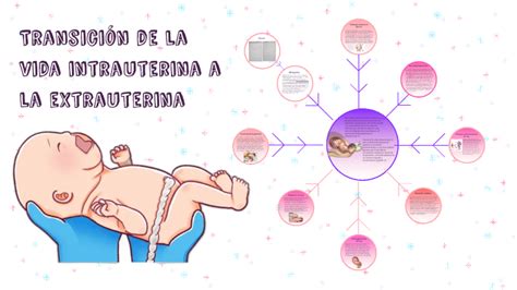 Transición De La Vida Intrauterina A La Extrauterina By Sisa Yarina