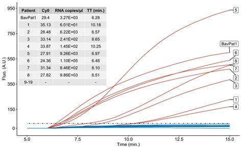Rt Rpa Amplification Of Total Rna Extracted From Nasopharyngeal Swabs