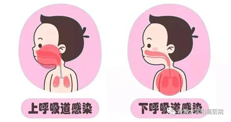 下呼吸道感染怎么办 基因芯片帮助您青海大学附属医院利用恒温扩增技术呼吸道病原体核酸检测助力下呼吸道感染快速诊断 青海大学附属医院