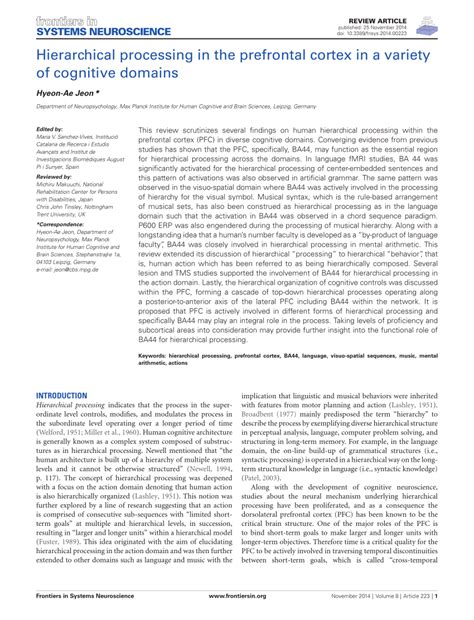 Pdf Hierarchical Processing In The Prefrontal Cortex In A Variety Of Cognitive Domains