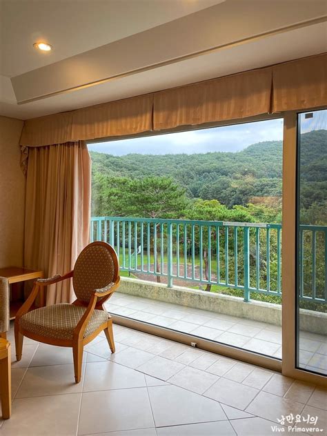 원주 오크밸리 리조트 노스콘도 48평 객실 이용 후기 네이버 블로그