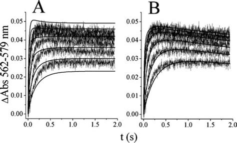 Kinetic Modeling Of Cytochrome B Reduction By Dbh 2 In The Presence Of