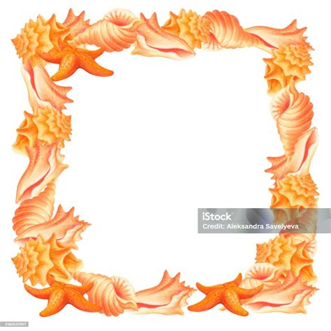 조개껍데기와 불가사리가 있는 정사각형 화환 또는 프레임 손으로 그린 테두리 열대 구성입니다 여행 배너 장식 해변 액세서리 디자인 엽서 인쇄에 대 한 고립 된 수채화 템플릿