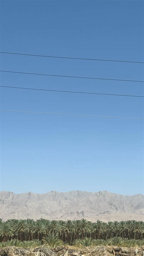 ‎ליבי ברודסלי Libby פודית שמטיילת המלצות לכל מה שטוב 🌏‎ ‎אז אחרי שאני לקוחה של אירנה