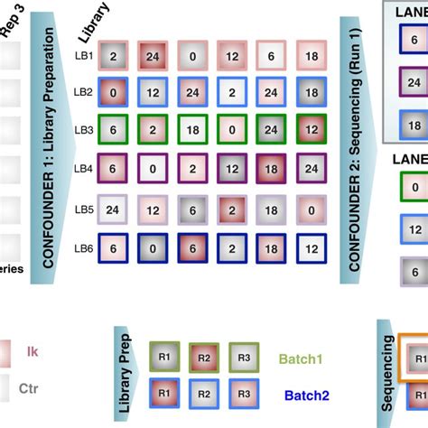 Experimental Design For Rna Seq Download Scientific Diagram