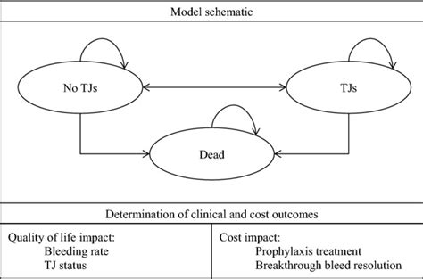 Cost Effectiveness Analysis Of Recombinant Factor Viii Fc Fusion Protein Rfviiifc For The