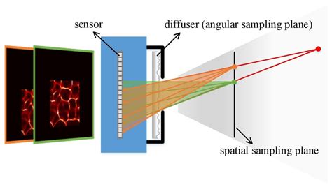 Microlens Array Based Light Field Imaging Generally Suffers From Trade Off Between Spatial And