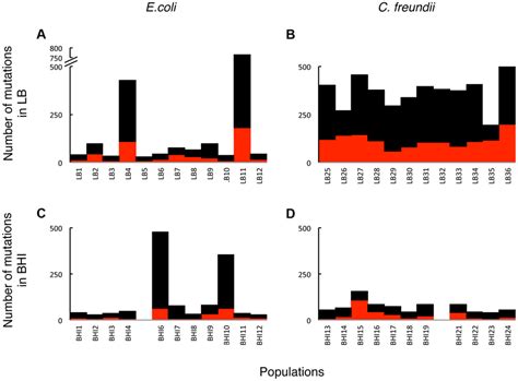 The Total Number Of Mutations In Coding Regions Was Substantial In The
