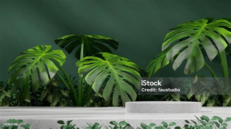 녹색 몬스테라 집 식물이 있는 풍경에 흰색 화강암 연단의 3d 렌더링 모형 템플릿 0명에 대한 스톡 사진 및 기타 이미지 0명 3차원 형태 강단 Istock