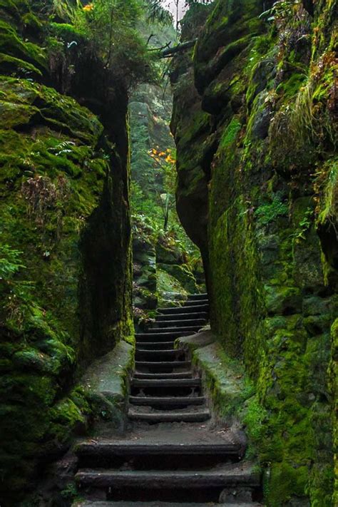 Saxon Switzerland National Park Germany Stones Steps Moss X