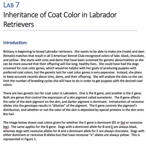 Get Answer Lab 7 Inheritance Of Coat Color In Labrador Retrievers