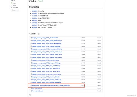 ChatGpt 反向代理 chatgpt反向代理 CSDN博客
