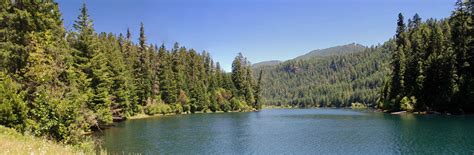Toketee Campground Umpqua National Forest