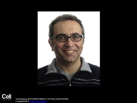 Vertebrate Versus Invertebrate Neural Circuits Paul Katz Current