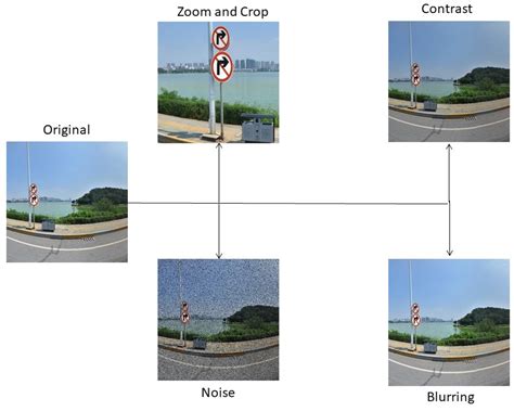 Advancing Traffic Sign Recognition Explainable Deep Cnn For Enhanced