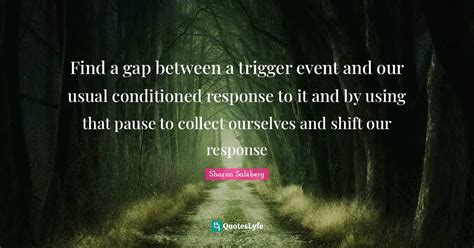 Find A Gap Between A Trigger Event And Our Usual Conditioned Response