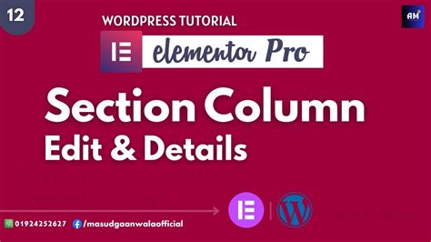 12 Section And Column Free Elementor Wordpress Elementor Page Builder Ami Masud Youtube