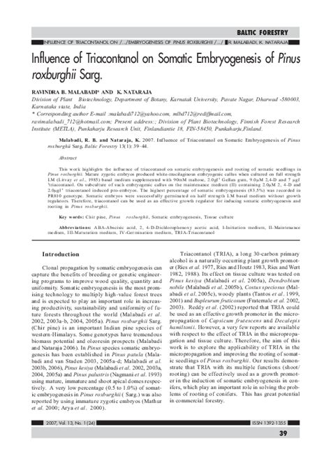 Pdf Influence Of Triacontanol On Somatic Embryogenesis Of Pinus