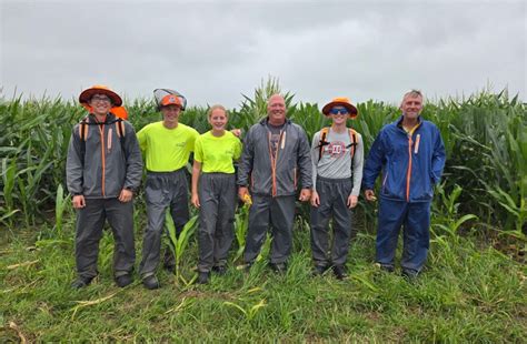 Iowa Detasseling Migrant Workers Replace Teen Labor Iowa Public Radio