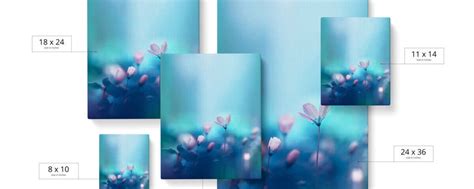 Mastering Aspect Ratios Stackhouse Printery The Stackhouse Printery