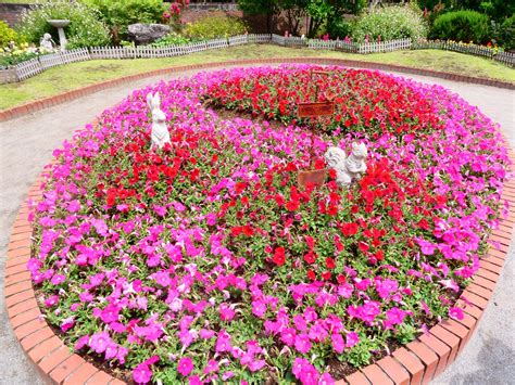 オアシス井田 On Twitter 5月12日、ミニハイクに行きました。電車で多摩川台公園にまず行っって、せせらぎ公園で昼食をいただきました！パンと焼き鳥、枝豆を食べました。美味しかった