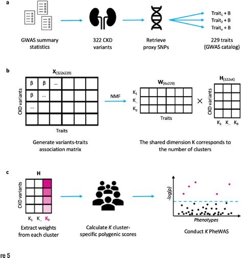 Figure 5 From A Clustering Approach To Improve Our Understanding Of The