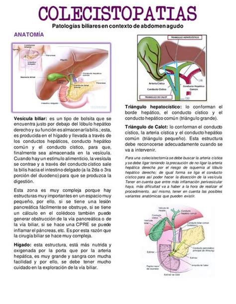 Colecistopatias Ana María Carreño Vásquez Udocz Colecistopatias Ana María Carreño Vásquez Udocz